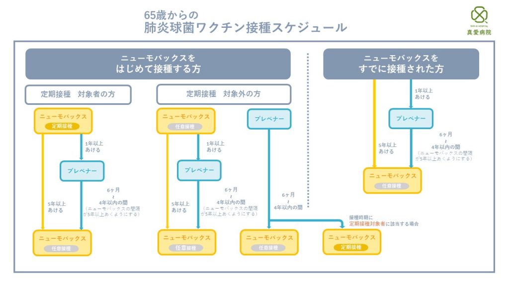 肺炎球菌ワクチン予防接種について 医療法人 真慈会 真愛病院